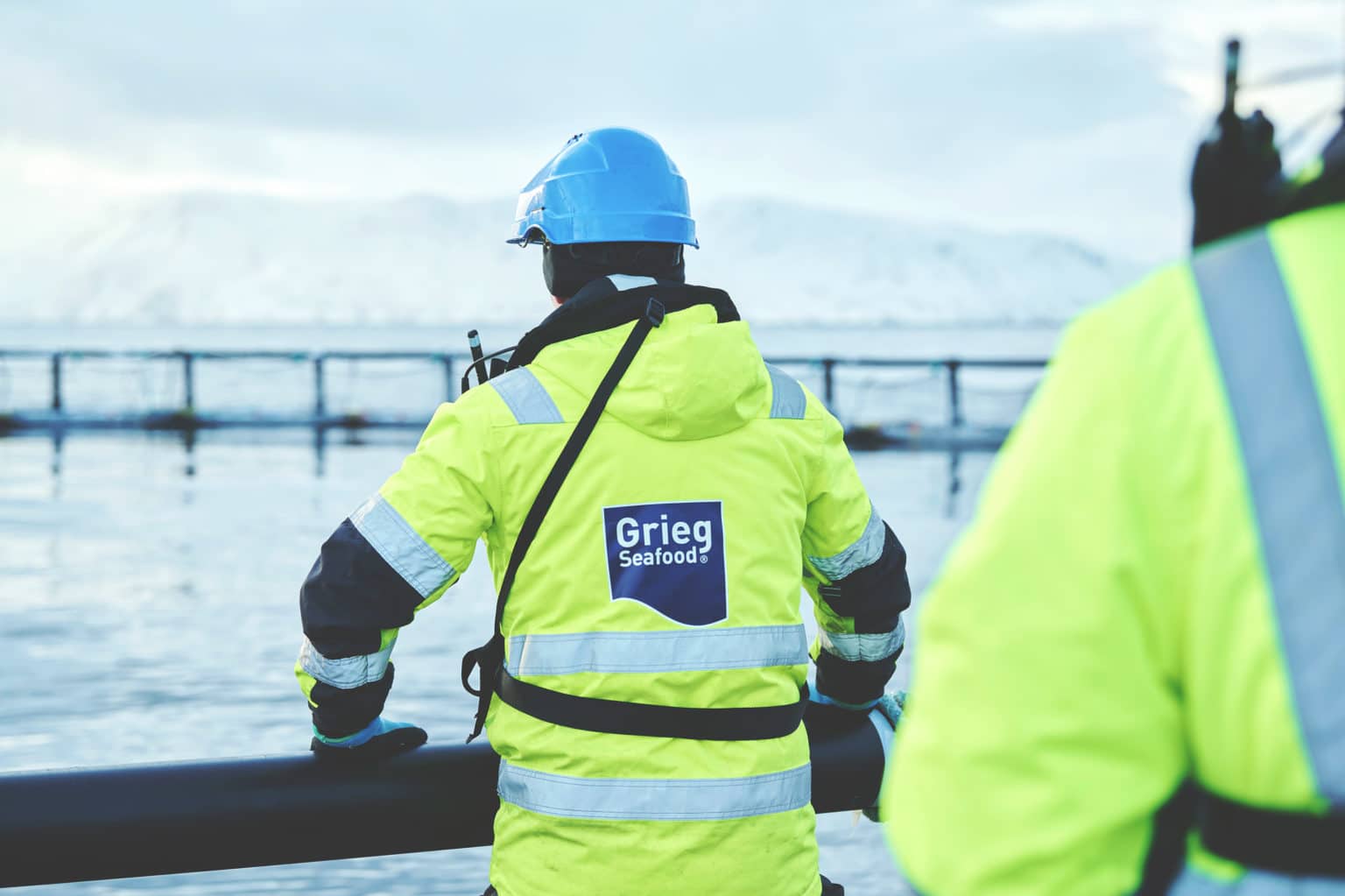 Grieg Group - We originate from a proud maritime tradition.
